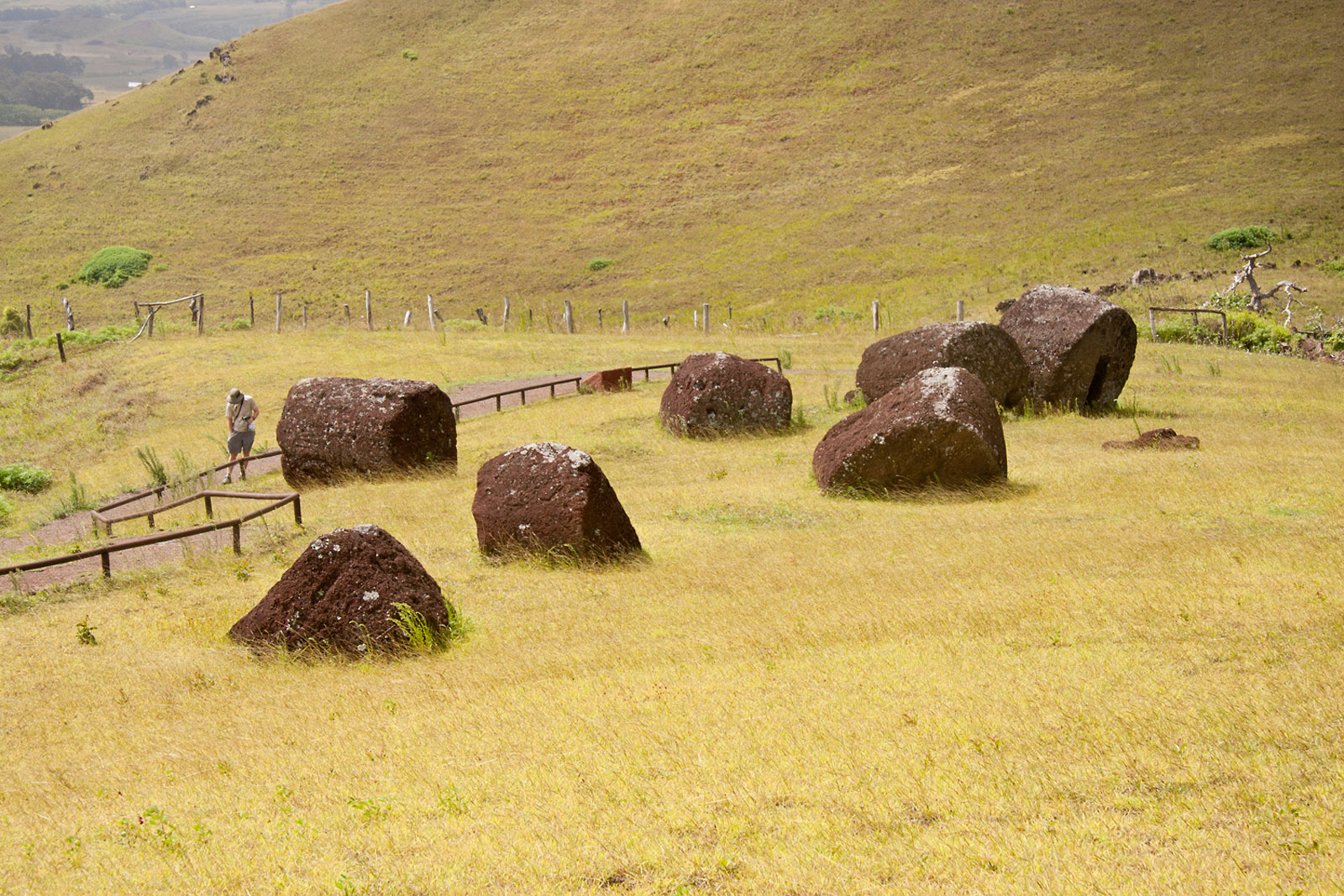 Puna Pau - Top-Knot Quarry © Debbie Thompson - Cheesemans Ecology Safaris
