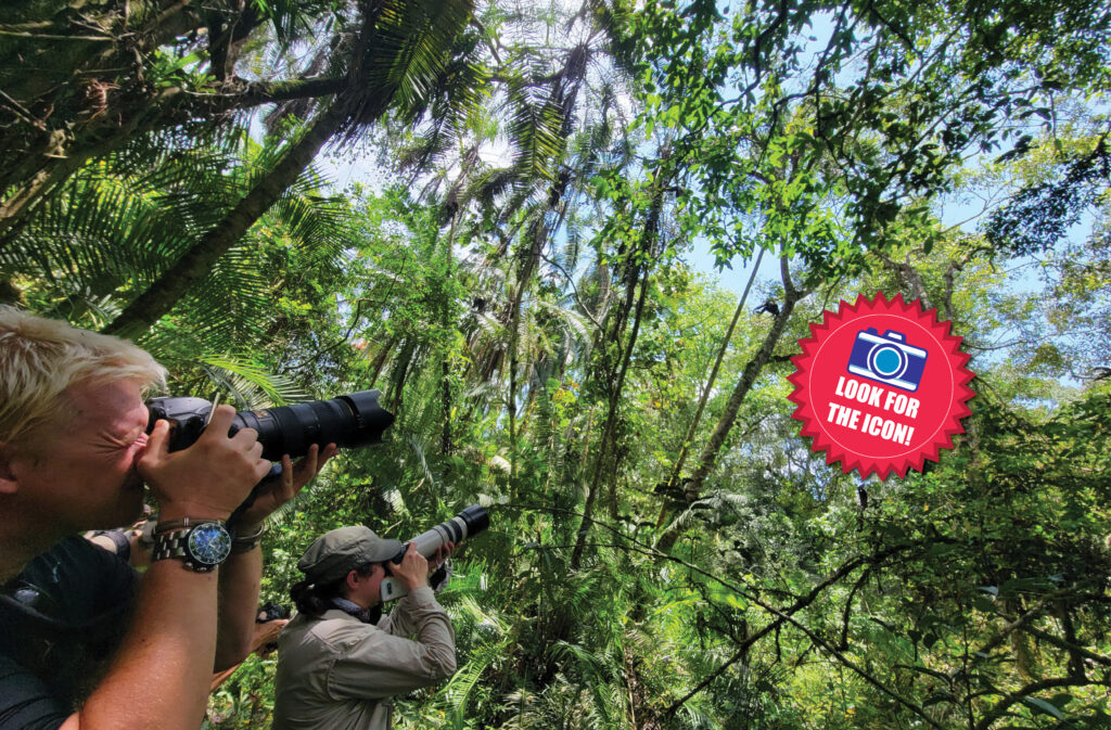 Photography-Friendly Tours with Cheesemans' Ecology Safaris