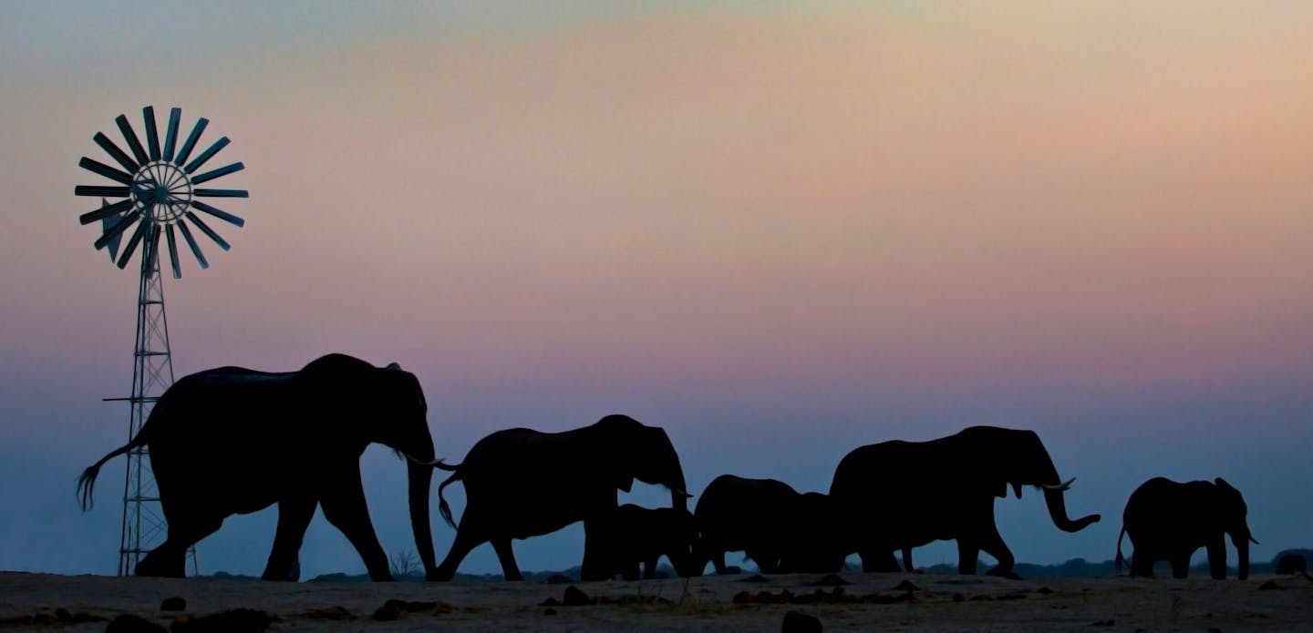 Wildlife and Nature Tours with Cheesemans' Ecology Safaris